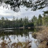 Franconia Brook Trail, New Hampshire - 323 Reviews, Map | AllTrails