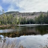 Franconia Brook Trail, New Hampshire - 323 Reviews, Map | AllTrails
