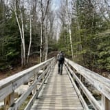 Franconia Brook Trail, New Hampshire - 323 Reviews, Map | AllTrails