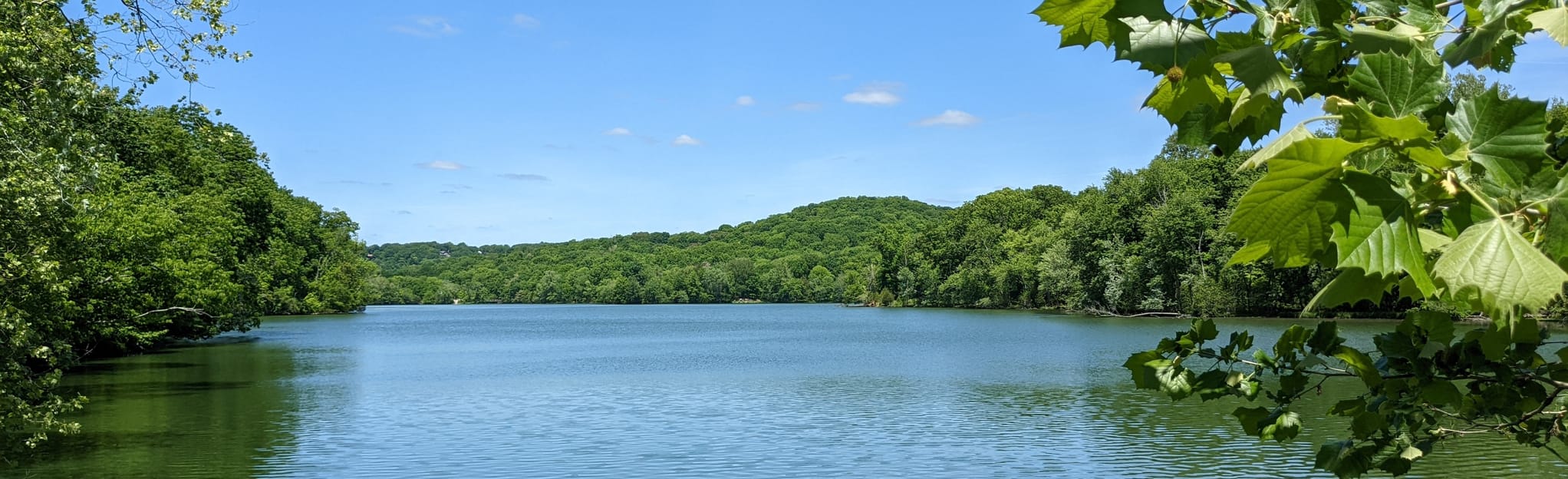 Radnor Lake Trail, Tennessee - 2,779 Reviews, Map | AllTrails