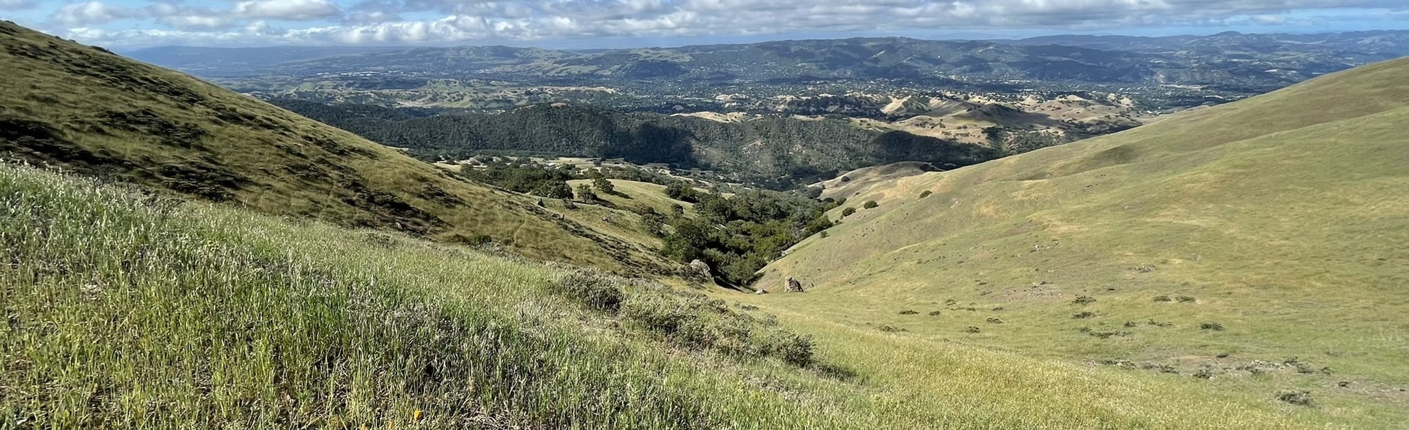 Mitchell Creek to Diablo Summit: 1,457 Reviews, Map - California ...