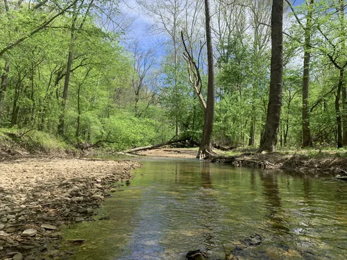 10 Best Hikes and Trails in Hoosier National Forest | AllTrails