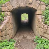 Stone State Park Loop Trail, South Dakota - 300 Reviews, Map | AllTrails