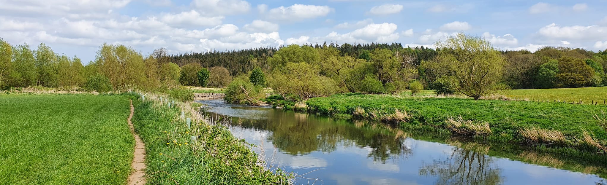 Sunderland Bridge, Wear, and Brancepeth Circular Walk: 156 foto ...