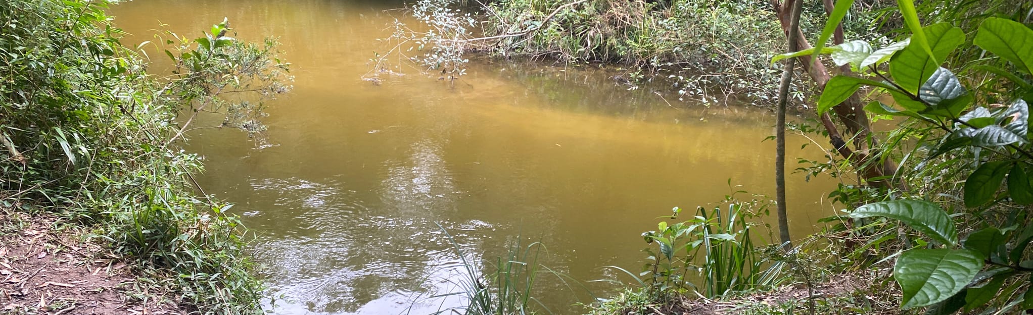 Trilha Para a Barragem Pedro Beicht | Map, Guide - São Paulo, Brazil ...