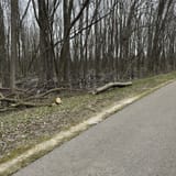 Bugline Trail, Wisconsin - 490 Reviews, Map | AllTrails