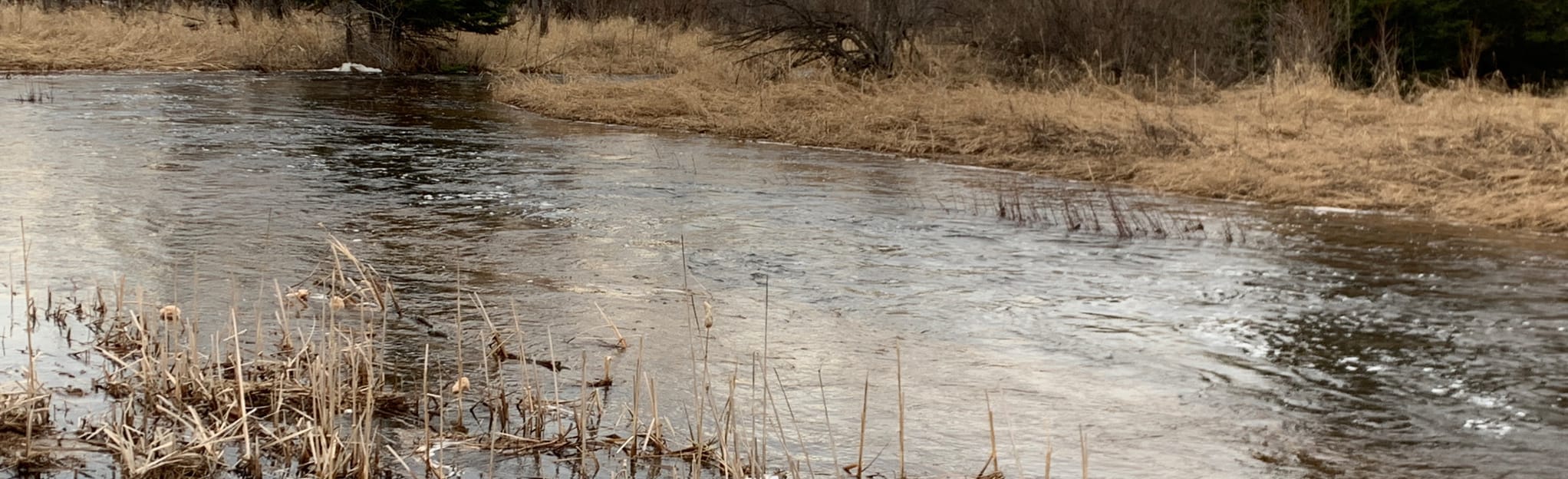 McVicar Creek Path, Ontario, Canada - 16 Reviews, Map | AllTrails