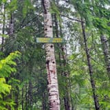 Church Creek - Satsop Lakes Trail, Washington - 26 Reviews, Map | AllTrails