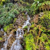 Church Creek - Satsop Lakes Trail, Washington - 26 Reviews, Map | AllTrails