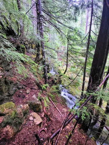 2023 Best Lake Trails in Matlock | AllTrails