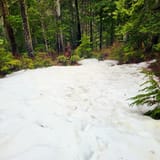 Church Creek - Satsop Lakes Trail, Washington - 26 Reviews, Map | AllTrails