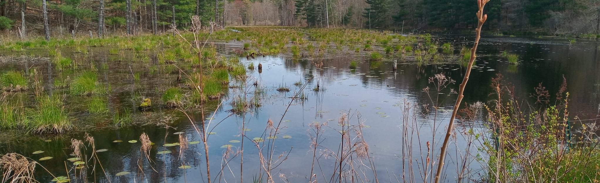 Wells State Park Perimeter Loop, Massachusetts - 115 Reviews, Map ...