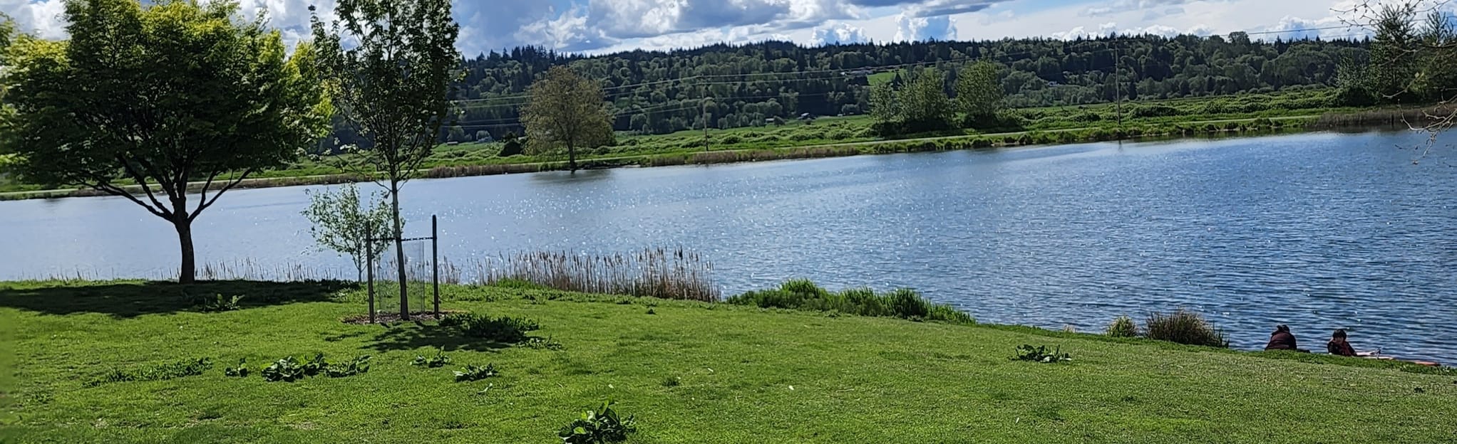 Lake Tye Trail, Washington - 230 Reviews, Map | AllTrails