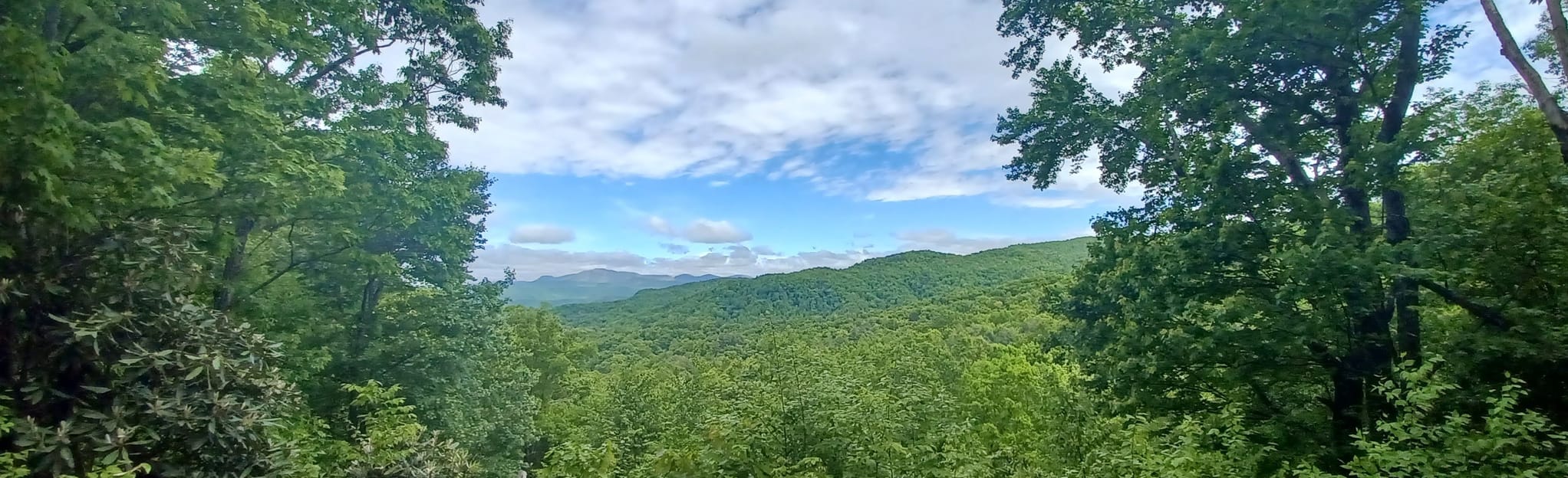 Big Laurel Loop, South Carolina - 5 Reviews, Map | AllTrails