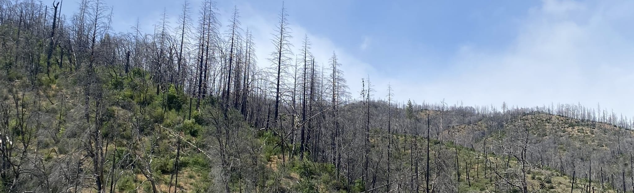 Brandy Creek Trail | Map, Guide - California | AllTrails