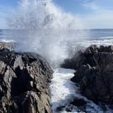 Parson's Way, Maine - 327 Reviews, Map | AllTrails