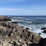 Parson's Way, Maine - 327 Reviews, Map | AllTrails