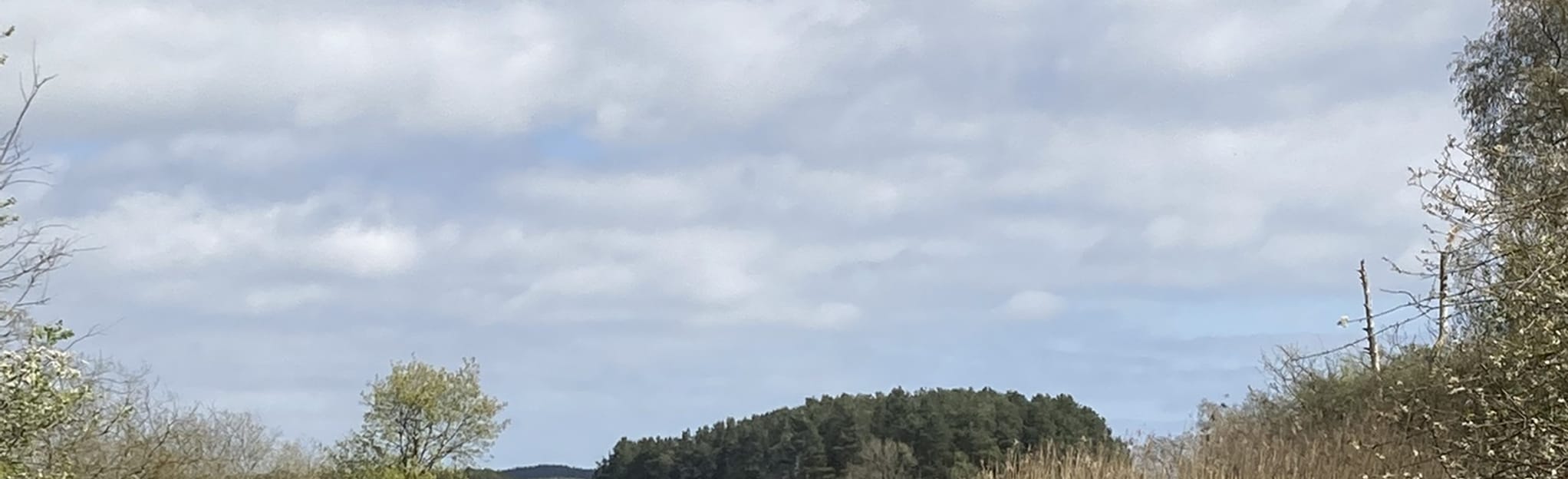 Harran Hill and Lochore Meadows Country Park: 12 Reviews, Map - Fife ...