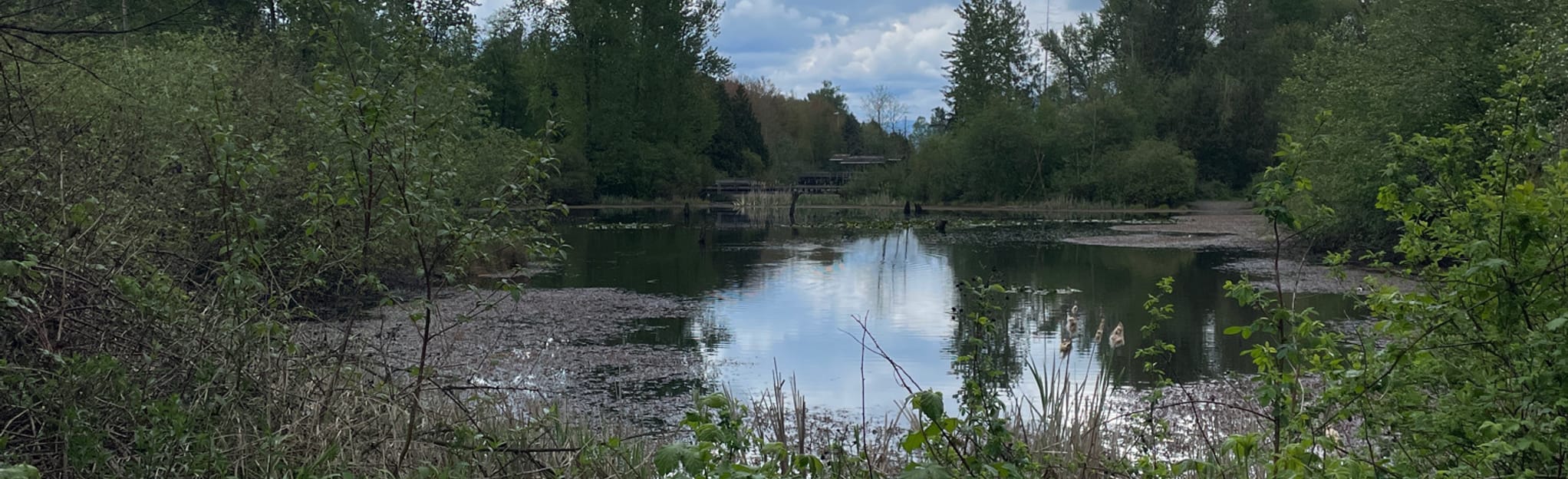 Fishtrap Creek Loop: 271 Reviews, Map - British Columbia, Canada ...