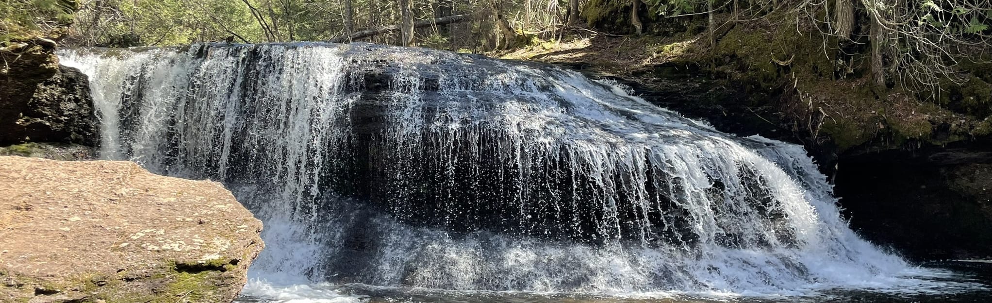 Henderson Falls, New Brunswick, Canada - 47 Reviews, Map | AllTrails