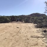 Buntine Rocks Orchid Walk, Western Australia, Australia - 2 Reviews ...