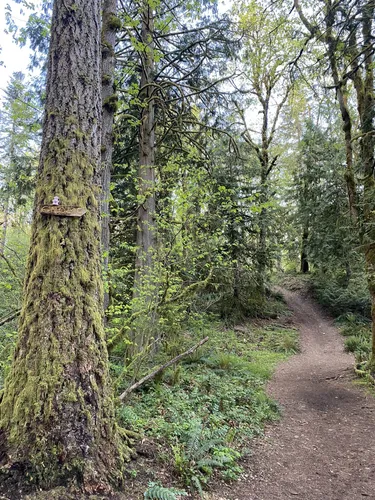 10 Best Trails and Hikes in Maple Valley | AllTrails