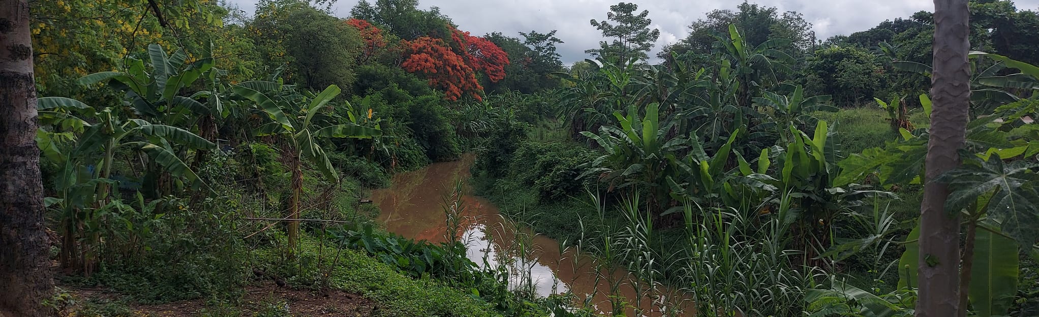 Mae Taeng MTB Loop, Chiang Mai, Thailand - 2 Reviews, Map | AllTrails