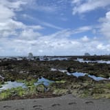 Sand Point Trail, Washington - 254 Reviews, Map | AllTrails