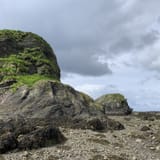 Sand Point Trail, Washington - 254 Reviews, Map | AllTrails