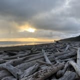 Sand Point Trail, Washington - 254 Reviews, Map | AllTrails
