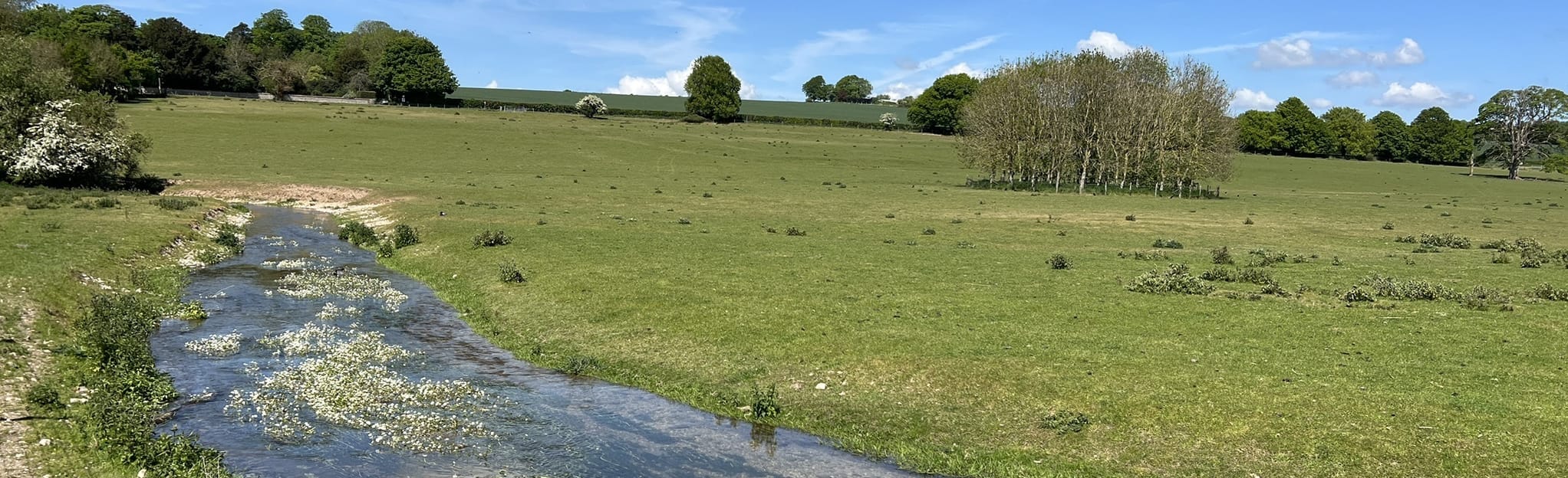 St. Roche's Hill, Binderton and Singleton Circular, West Sussex ...