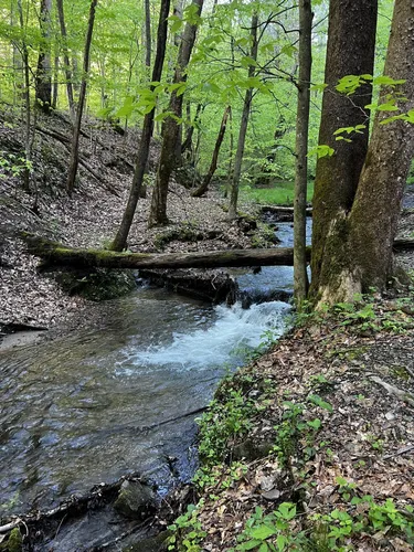 10 Best Hikes and Trails in Kanawha State Forest | AllTrails