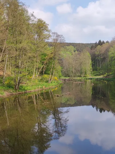 De 10 beste wandelroutes om te wandelen in Houffalize | AllTrails