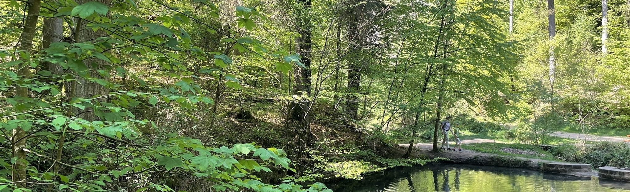 Consdorf - Kuelscheier - Hersberg: 25 Reviews, Map - Echternach ...