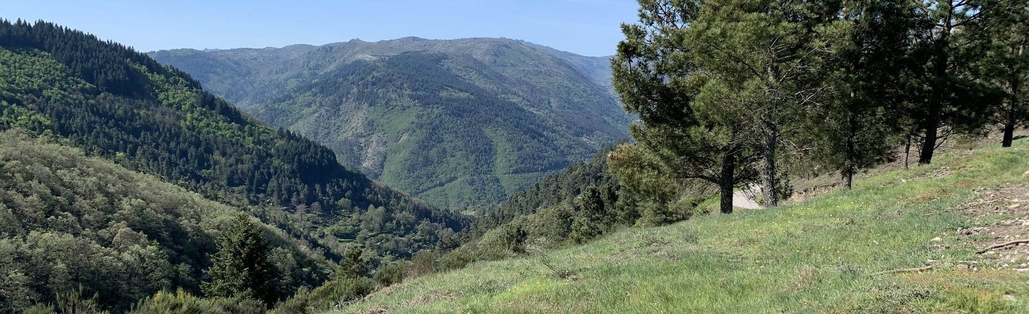 As Montanhas e o Vale do Rossim Eco Resort : 14 Photos - Guarda ...