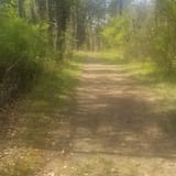 Silver Lake Loop, Virginia - 233 Reviews, Map | AllTrails