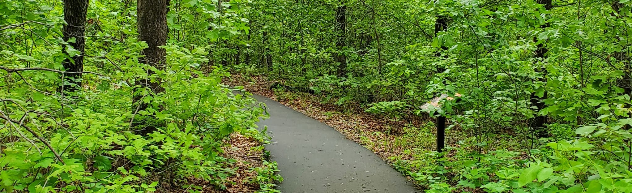 Keystone Ancient Forest Loop, Oklahoma - 607 Reviews, Map | AllTrails