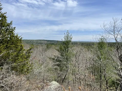 10 Best Hikes and Trails in Arcadia State Management Area | AllTrails