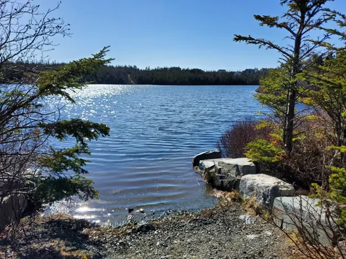 Best Hikes and Trails in Peter Barry Duff Memorial Park | AllTrails