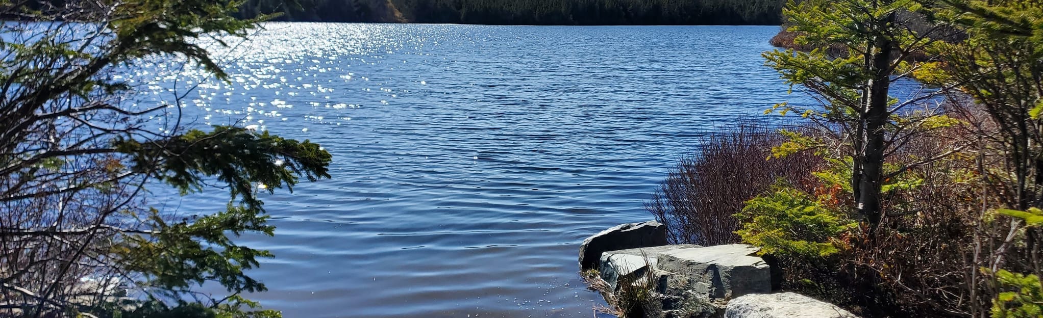 Peter Barry Duff Memorial Park Loop: 12 Reviews, Map - Newfoundland and ...