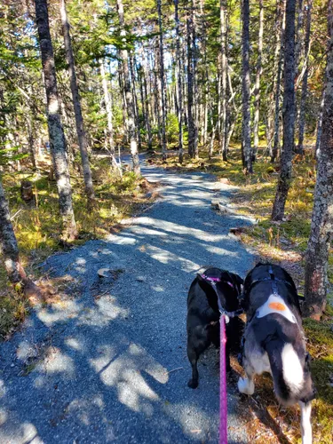 Best Hikes and Trails in Peter Barry Duff Memorial Park | AllTrails