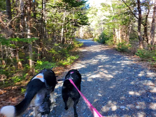 Best Hikes and Trails in Peter Barry Duff Memorial Park | AllTrails