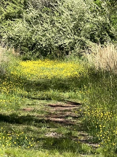 Deer Path Park: Die besten Routen in 2023 | AllTrails