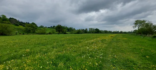 Best Hikes and Trails in Coombe Hill Nature Reserve | AllTrails