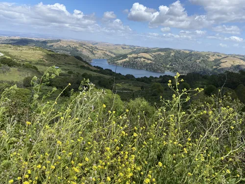 10 Best Lake Trails in Berkeley | AllTrails