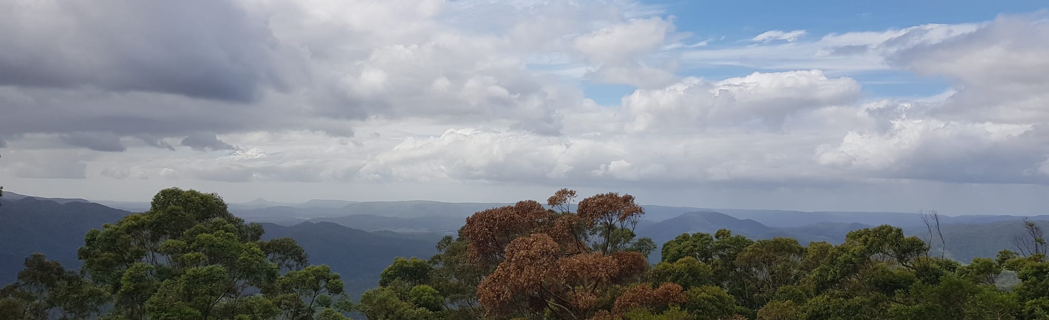 Booloumba Creek to Mount Allan, Queensland, Australia - 33 Reviews, Map ...