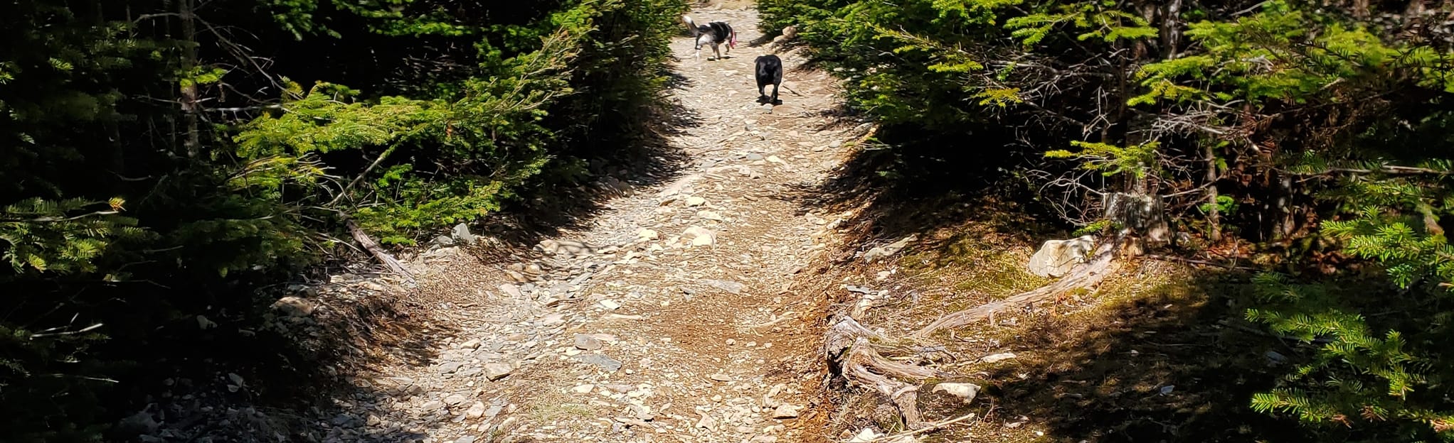 Paradise Trail, Newfoundland and Labrador, Canada - 10 Reviews, Map ...