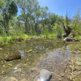 Sespe River Trail To Sespe Hot Springs, California - 287 Reviews, Map ...