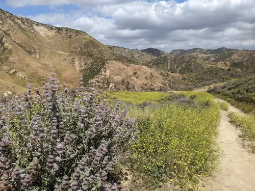10 Best Trails and Hikes in Simi Valley | AllTrails