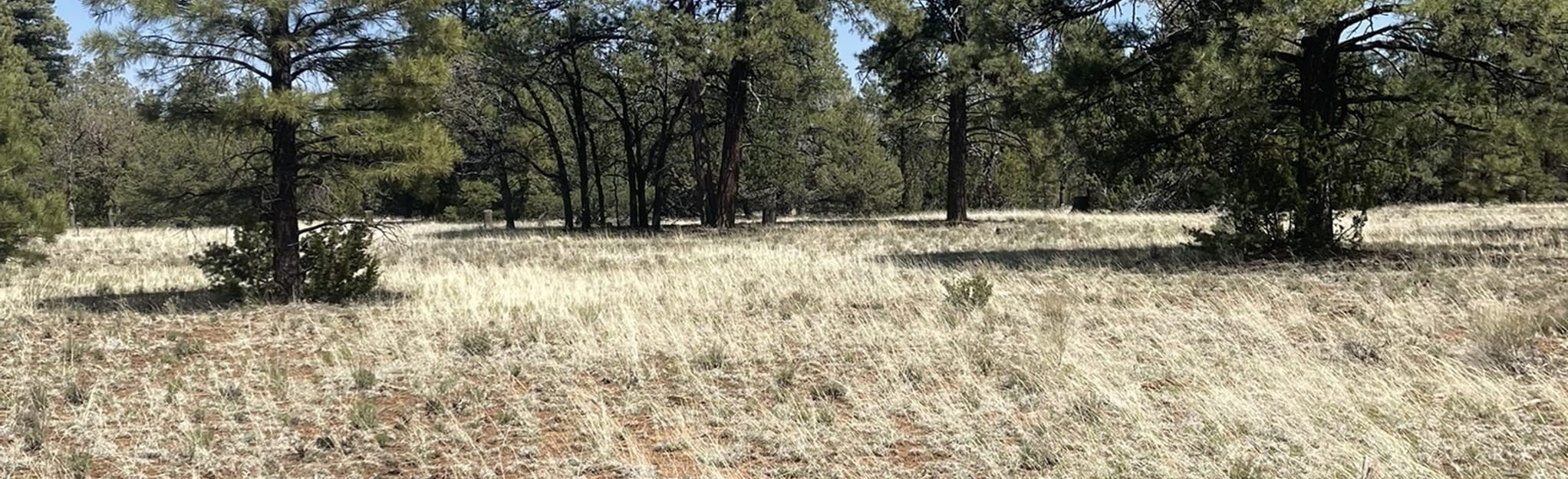 Flag Loop, Arizona - 24 Reviews, Map | AllTrails